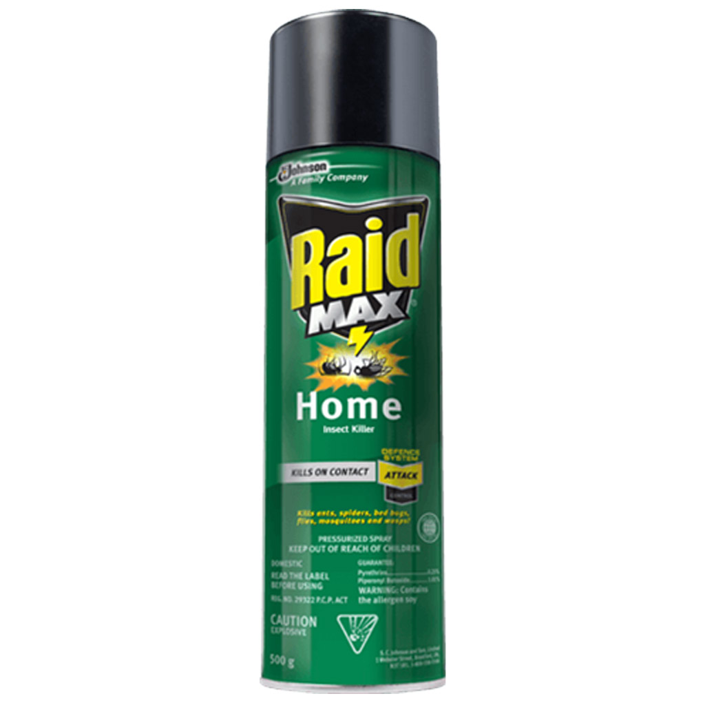 RAID MAX HOME INSECT KILLER SPRAY [350G] | MB Country Living