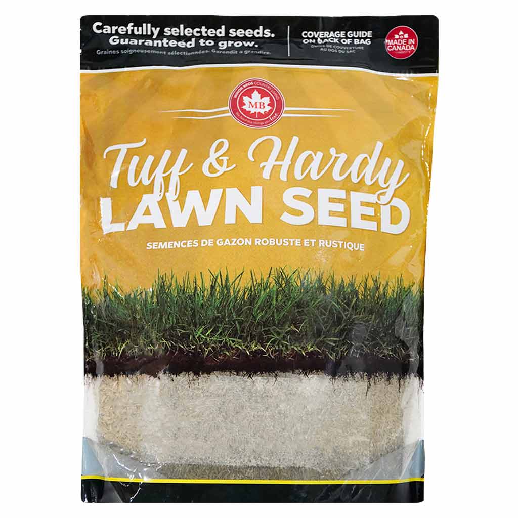 MB Country Living | Tough Turf Lawn Mix [2Kg] | MB Country Living